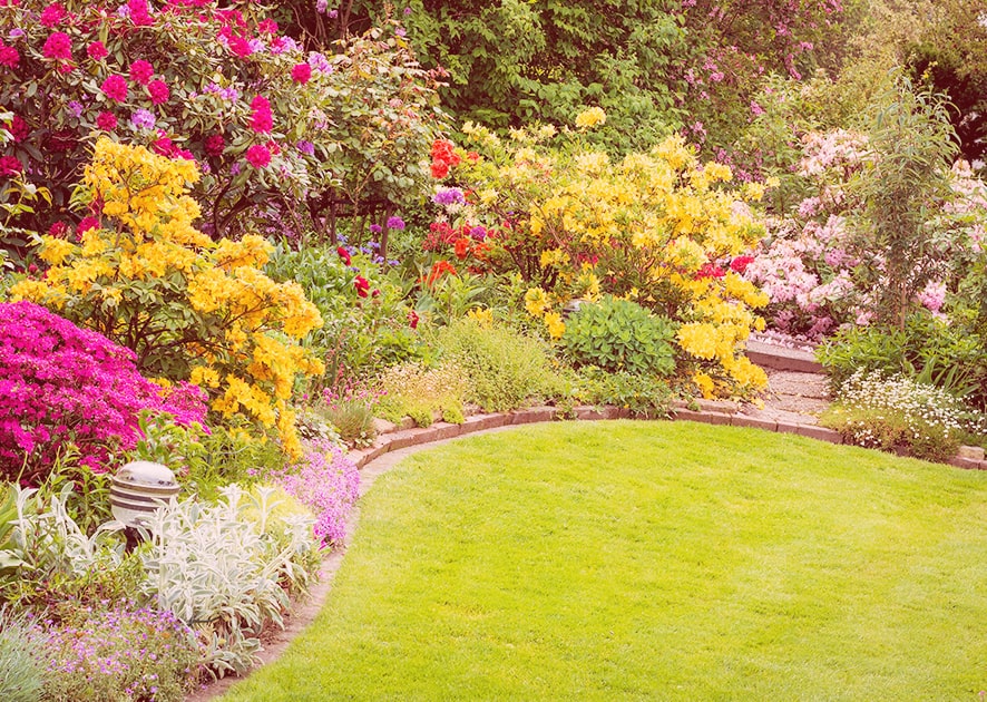 Awan Garden Center | Best Garden Store in Pakistan