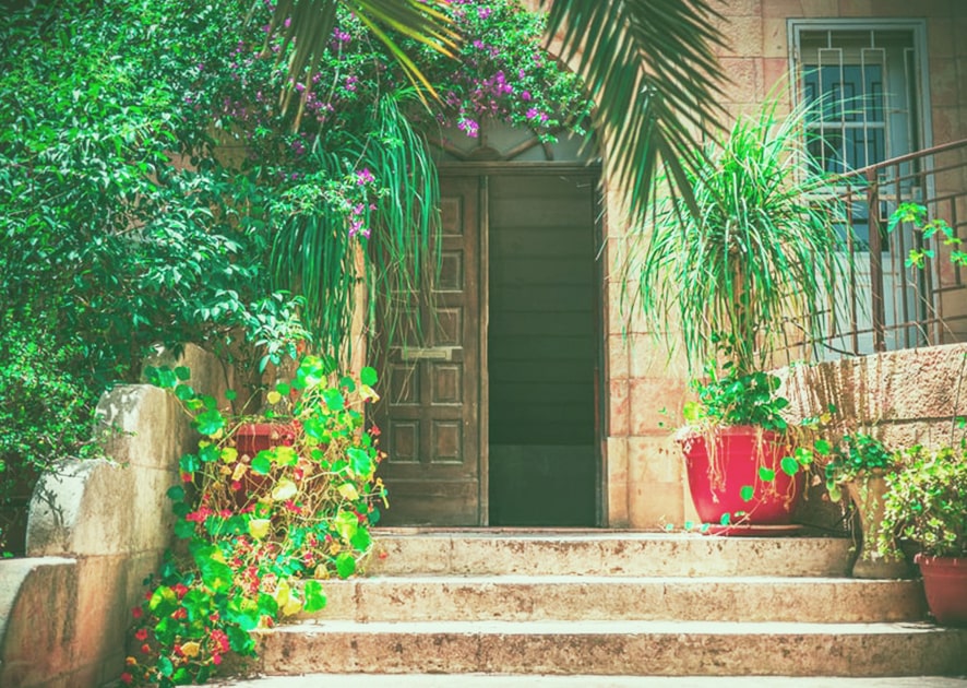 Awan Garden Center | Best Garden Store in Pakistan