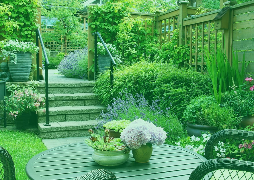 Awan Garden Center | Best Garden Store in Pakistan