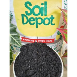 Carbonized Rice Hull | Rice Ash | Husk Rice Ash | Awangarden